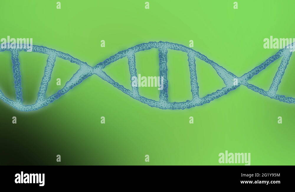 Chromosome engineering Stock Videos & Footage - HD and 4K Video Clips ...