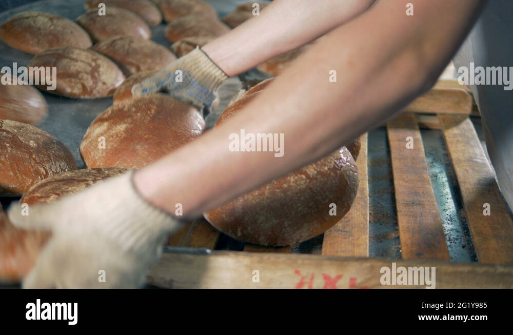 Large round loaf of bread Stock Videos & Footage - HD and 4K Video ...