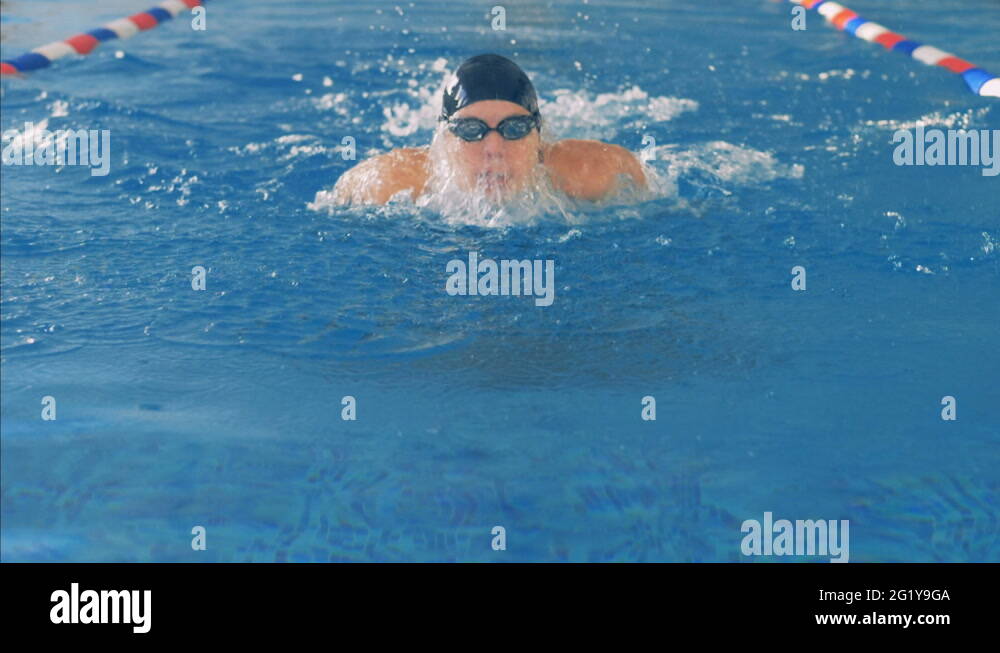 Dolphin butterfly stroke Stock Videos & Footage - HD and 4K Video Clips ...