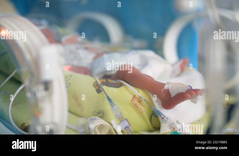 Unrecognizable new born premature baby in incubator. 4K Stock Video ...