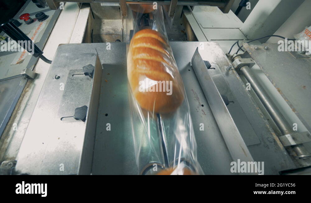 Packing conveyor. Packed long loaves of bread are moving on the ...