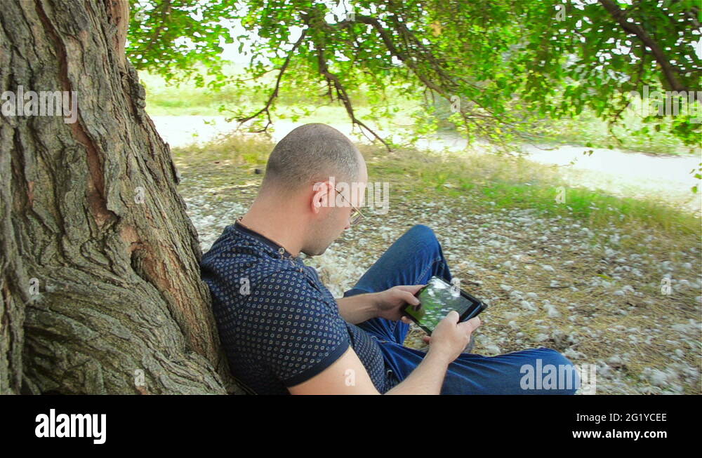 Man under tree Stock Videos & Footage - HD and 4K Video Clips - Alamy