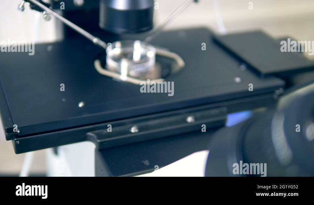 Front-side view of an object laying on a microscope's panel and the ...