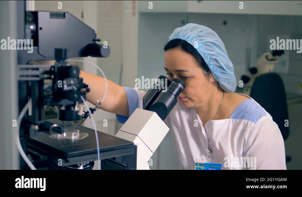 Watching through microscope Stock Videos & Footage - HD and 4K Video ...