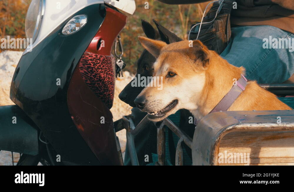 Motorcycle trailer asia Stock Videos & Footage - HD and 4K Video Clips ...