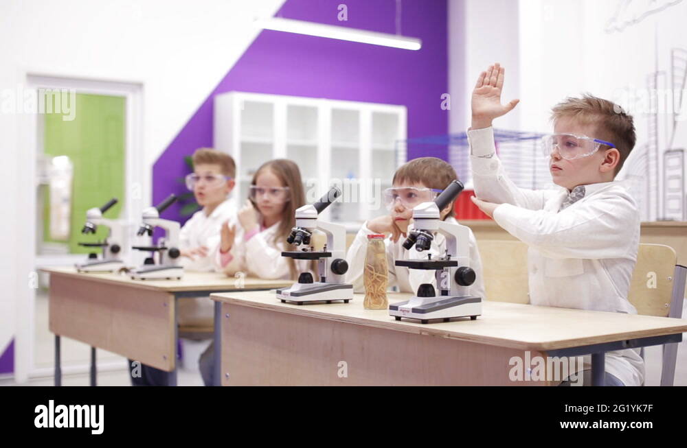 Biology lesson Stock Videos & Footage - HD and 4K Video Clips - Alamy