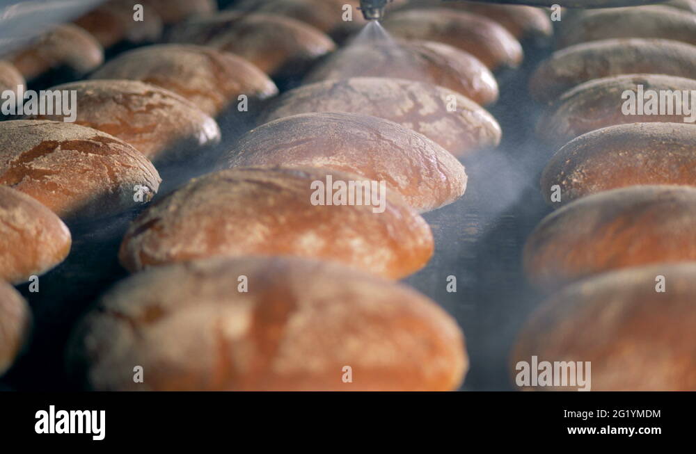 Bread bakery. Ready made bread comes out from oven. Food processing ...