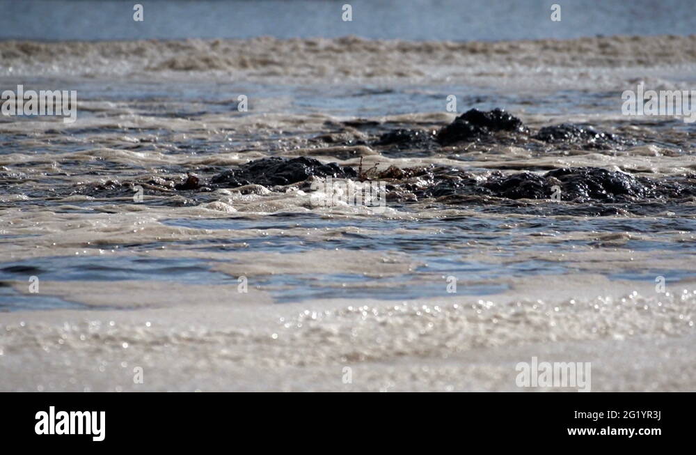 Boiling plants Stock Videos & Footage - HD and 4K Video Clips - Alamy