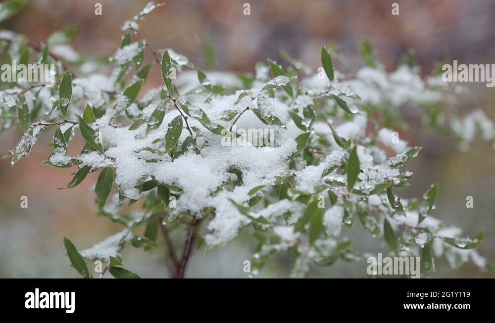 British first snowfall Stock Videos & Footage - HD and 4K Video Clips ...