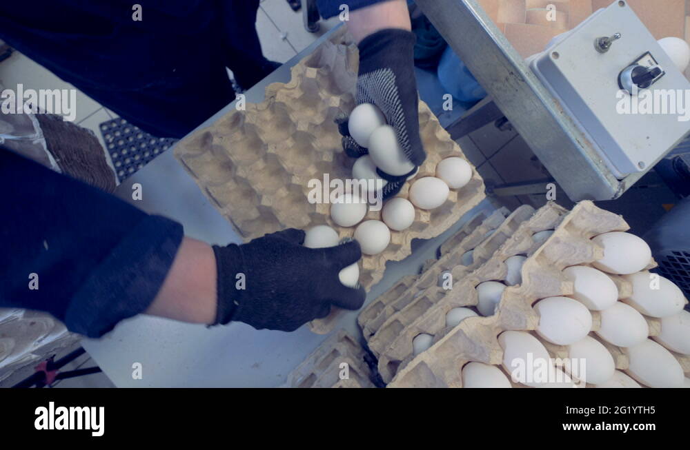 Egg carton storage Stock Videos & Footage - HD and 4K Video Clips - Alamy