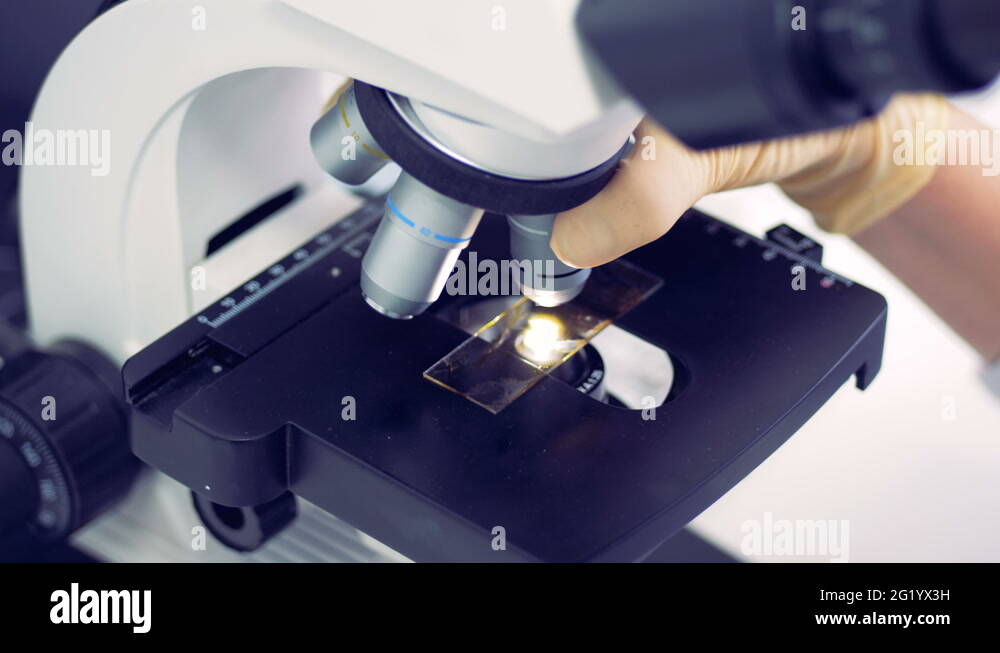 Investigate structure Stock Videos & Footage - HD and 4K Video Clips ...