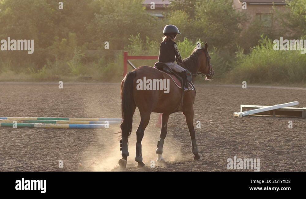 Child riding lesson horse Stock Videos & Footage - HD and 4K Video ...