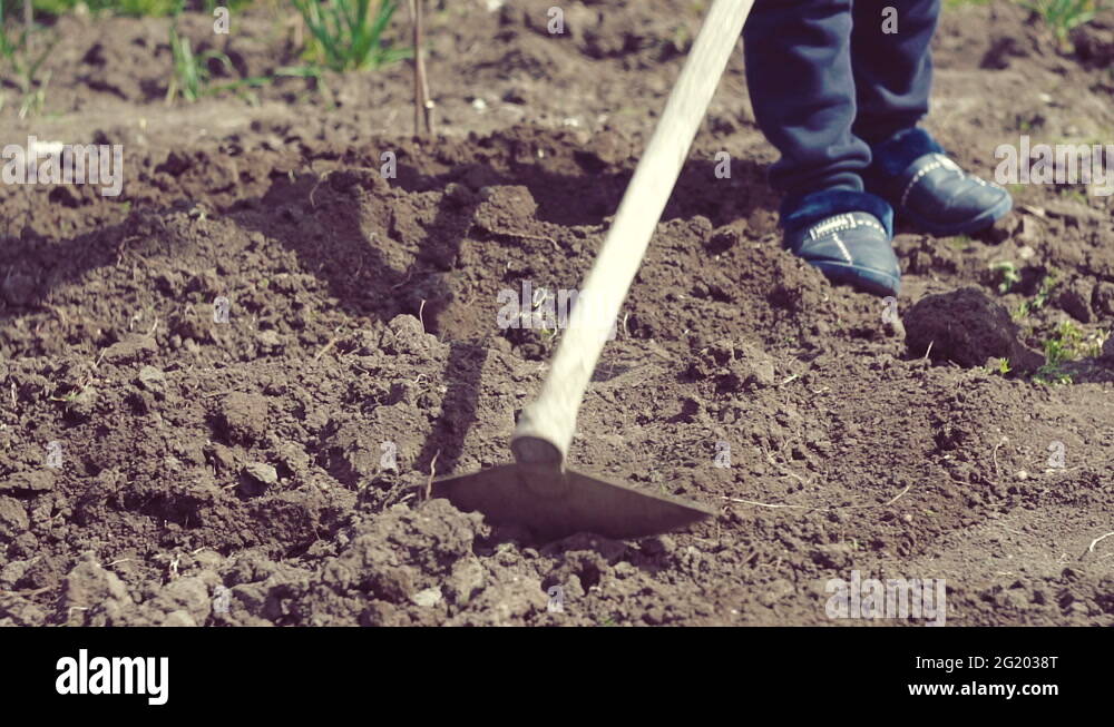 Hoe farming Stock Videos & Footage - HD and 4K Video Clips - Alamy