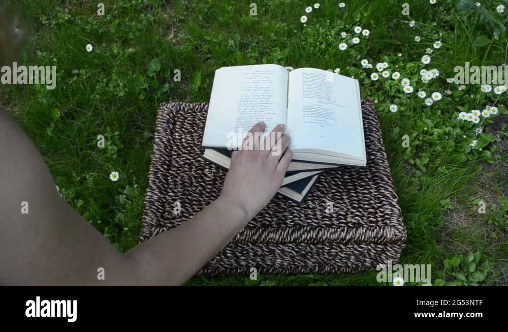 Flower book white garden Stock Videos & Footage - HD and 4K Video Clips ...