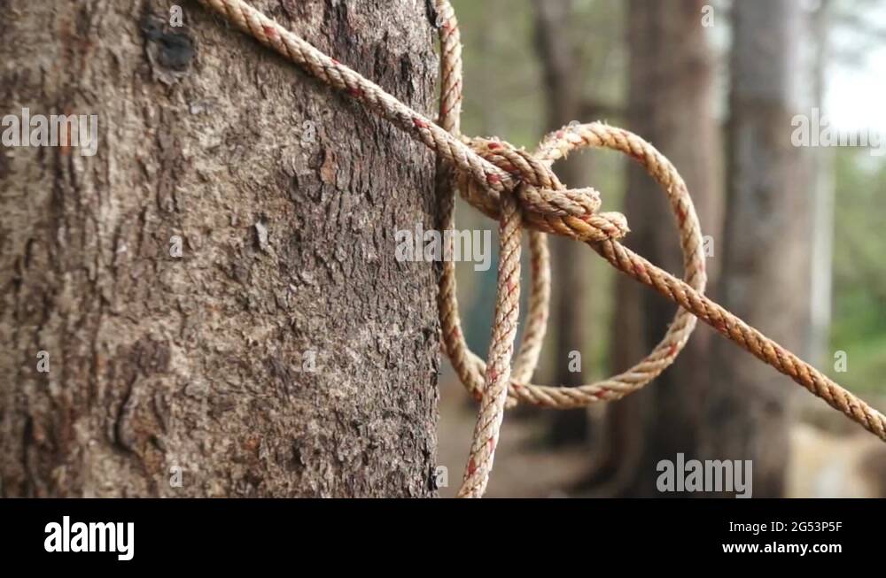 Rope around wood Stock Videos & Footage - HD and 4K Video Clips - Alamy