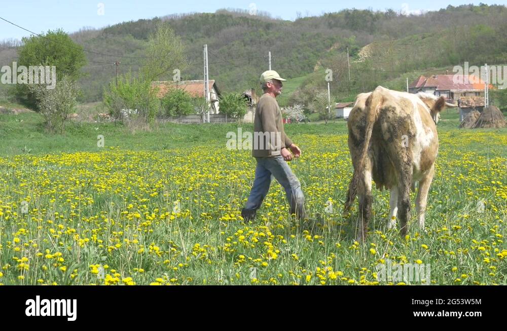 Man catching Stock Videos & Footage - HD and 4K Video Clips - Alamy