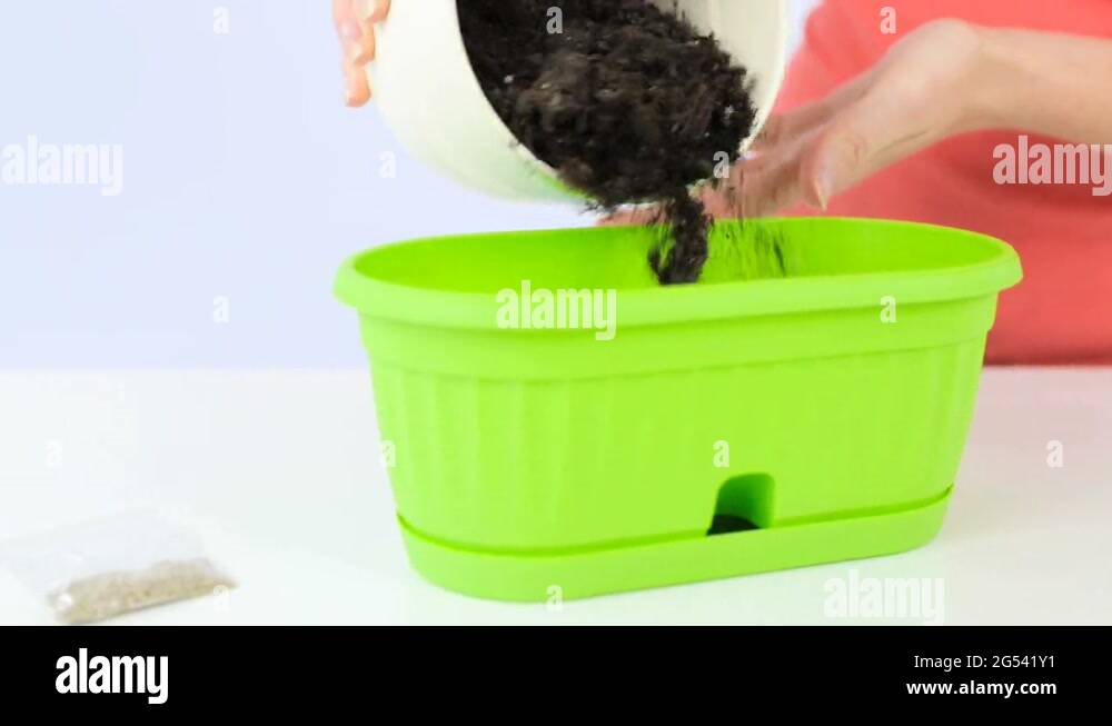 Soil pitcher Stock Videos & Footage - HD and 4K Video Clips - Alamy