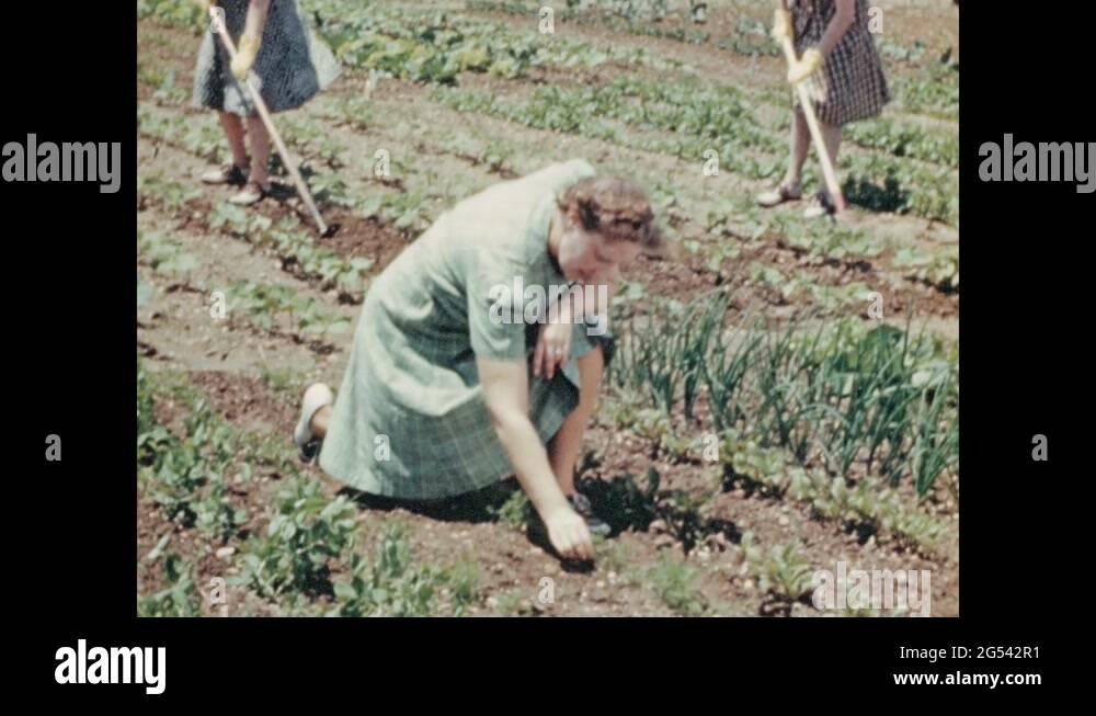 Victory garden america Stock Videos & Footage - HD and 4K Video Clips ...