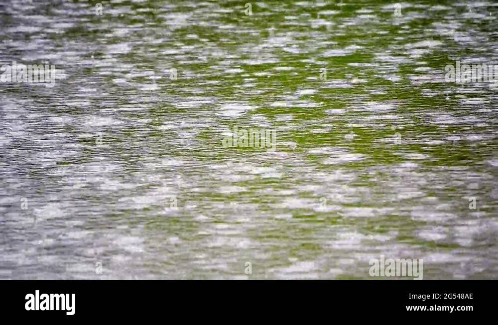 Rings on water pond Stock Videos & Footage - HD and 4K Video Clips - Alamy