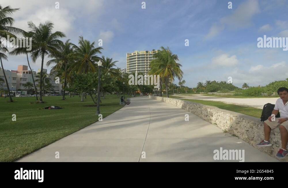 Alley of a park in Miami Beach Stock Video Footage - Alamy
