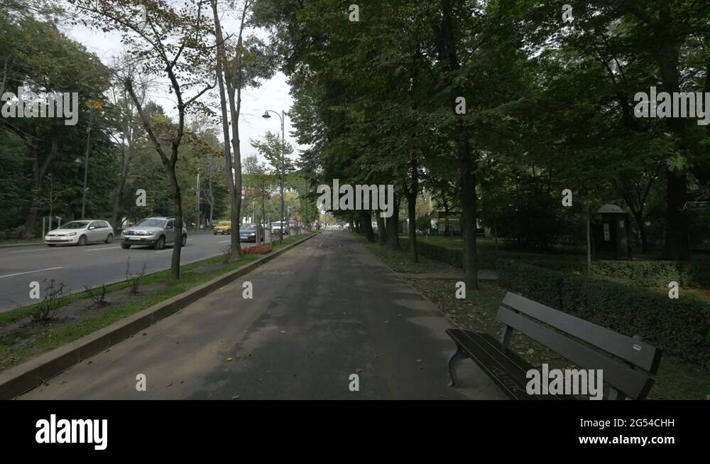 Kiseleff park Stock Videos & Footage - HD and 4K Video Clips - Alamy