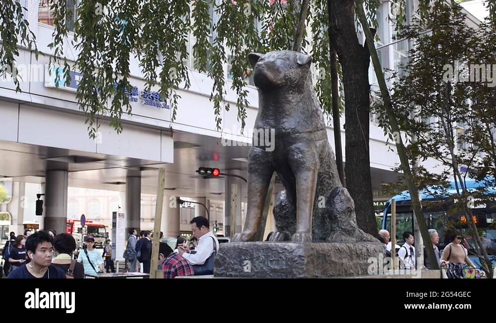 Hachi statue Stock Videos & Footage - HD and 4K Video Clips - Alamy