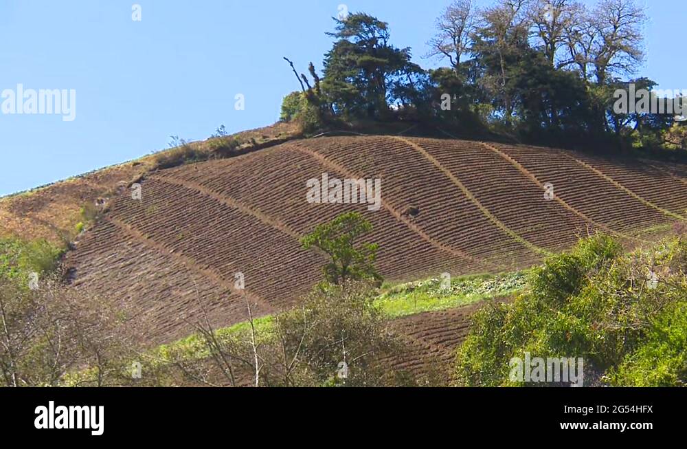 Farming a slope Stock Videos & Footage - HD and 4K Video Clips - Alamy