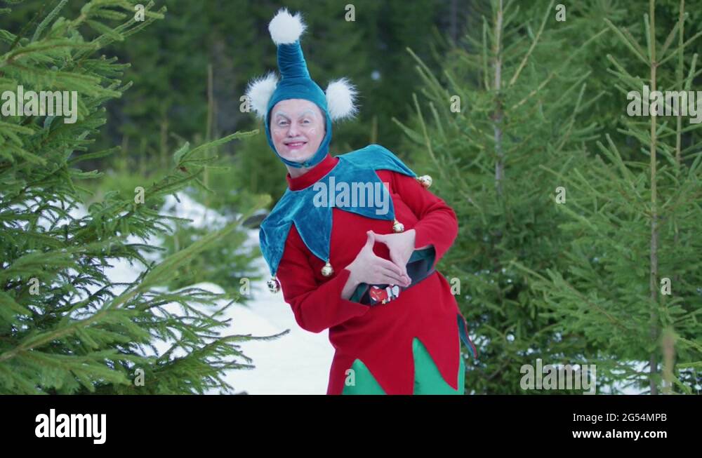Happy elf Stock Videos & Footage - HD and 4K Video Clips - Alamy