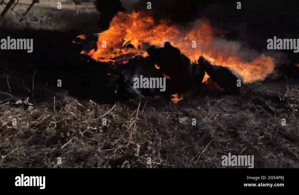 Brave firefighters Stock Videos & Footage - HD and 4K Video Clips - Alamy