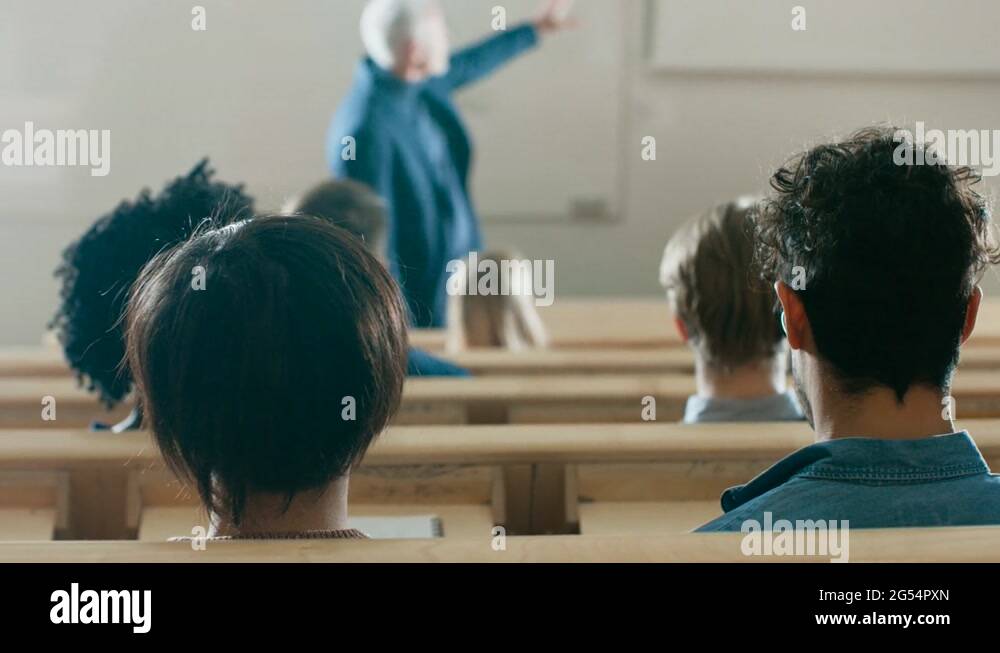 Back View of the Students in the Classroom Listening to a Prominent ...