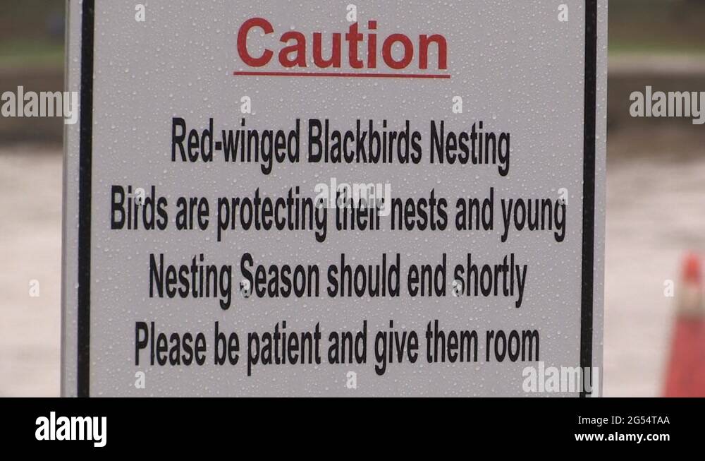 Nesting birds warning sign Stock Videos & Footage - HD and 4K Video ...