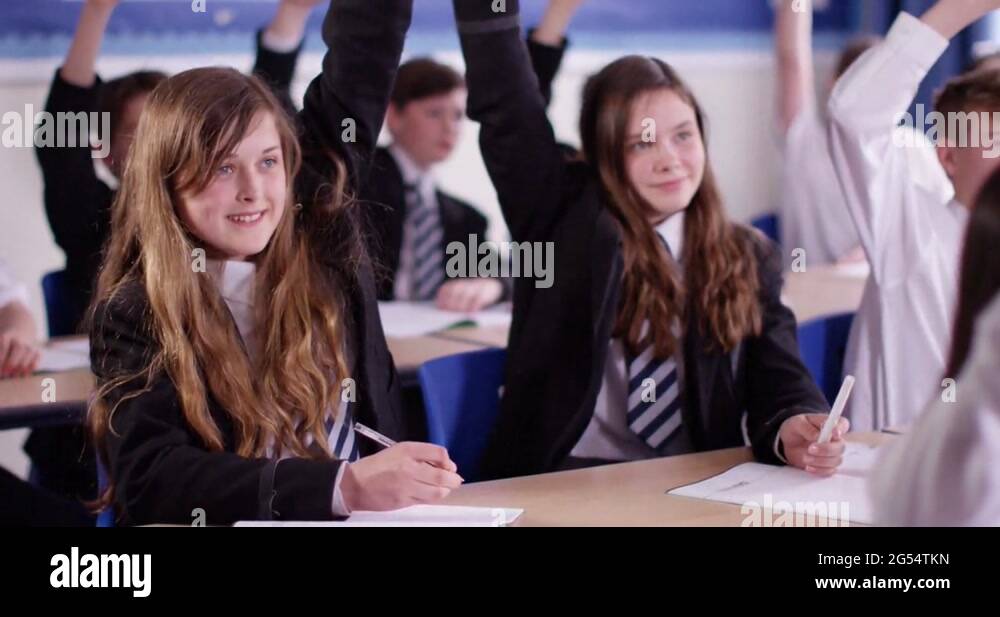 Kids raising hands answer Stock Videos & Footage - HD and 4K Video ...