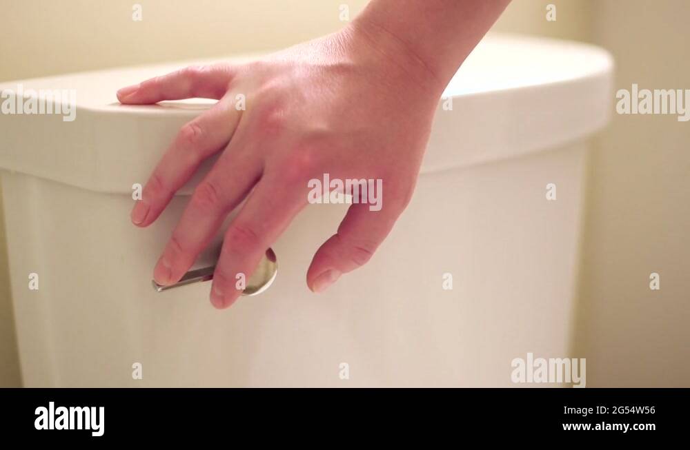 Toilet flushing toilet Stock Videos & Footage - HD and 4K Video Clips ...