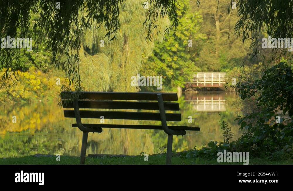 Bench on waterfront Stock Videos & Footage - HD and 4K Video Clips - Alamy