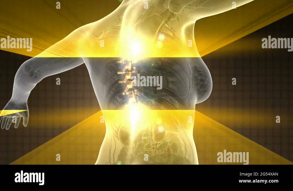 science anatomy scan of human body in x-ray with glow spine bones ...