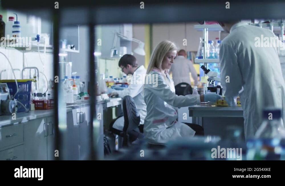 Team of caucasian scientists in white coats are working in a modern ...