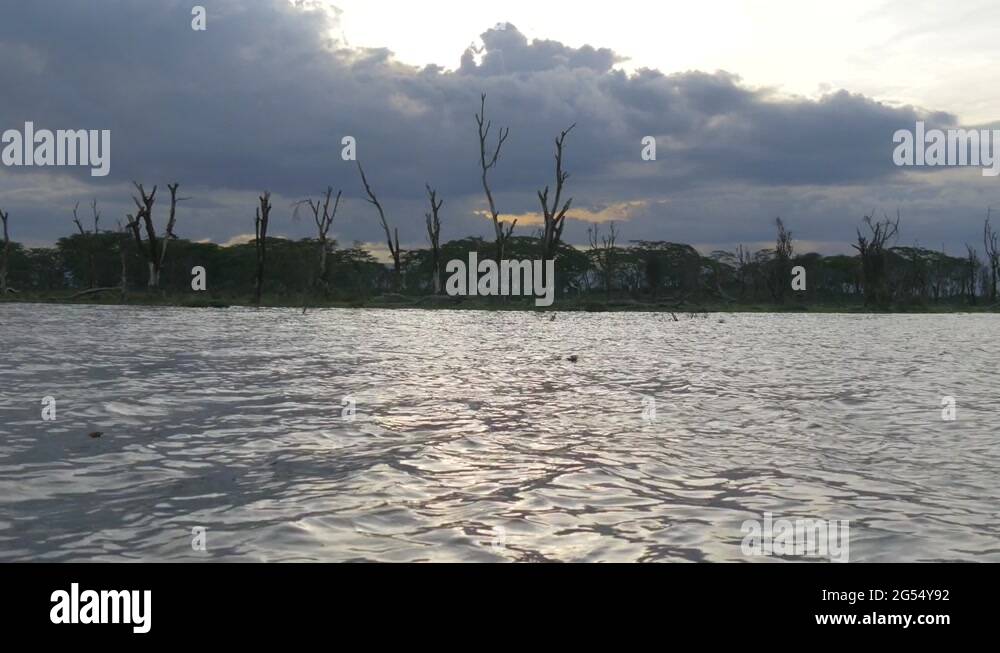 Clouds near trees Stock Videos & Footage - HD and 4K Video Clips - Alamy