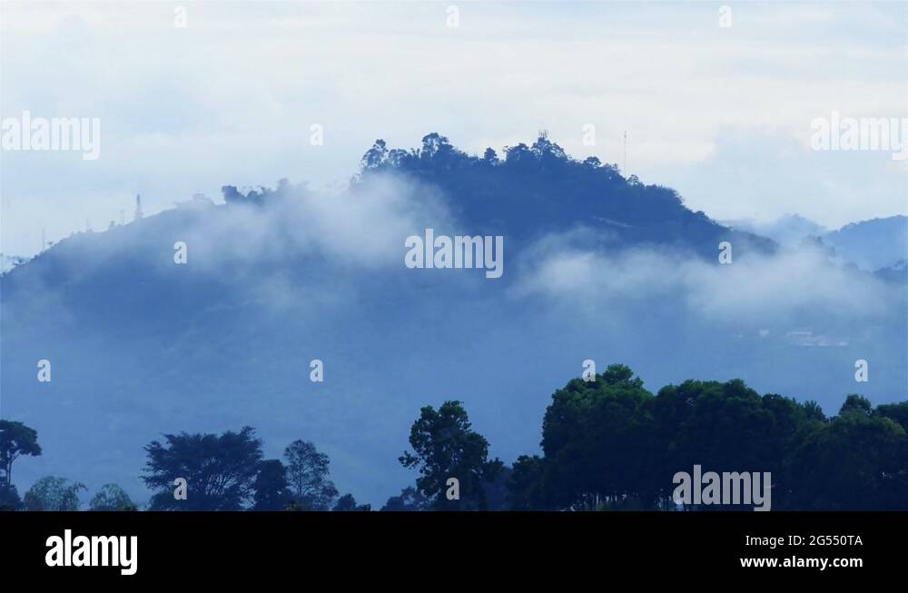 High Humidity In Rain forest in rainy day. Epic Nature timelapse ...