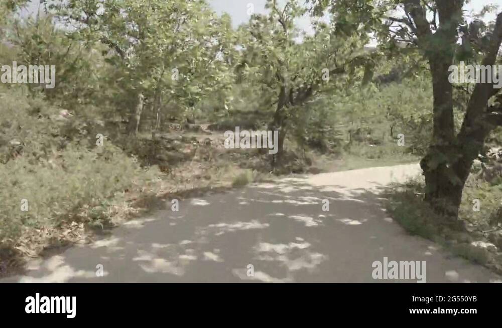 An empty single track country lane Stock Videos & Footage - HD and 4K ...