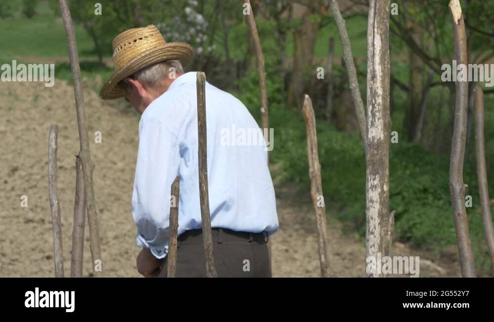 Man sowing seeds Stock Videos & Footage - HD and 4K Video Clips - Alamy