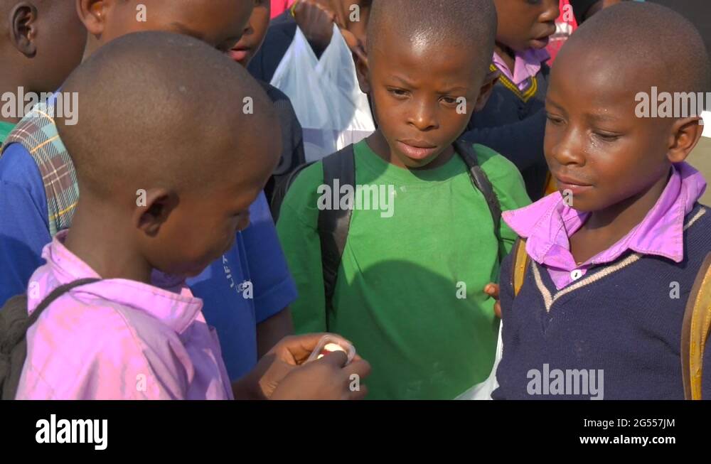 African box Stock Videos & Footage - HD and 4K Video Clips - Alamy