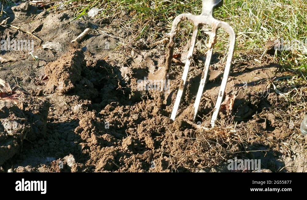 Digging in garden soil Stock Videos & Footage - HD and 4K Video Clips ...