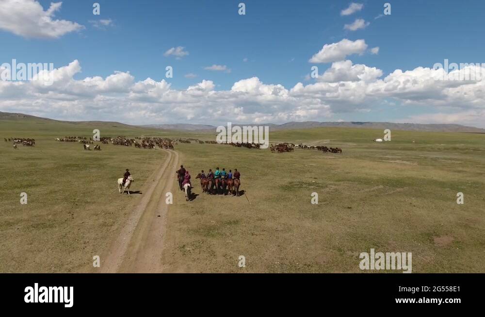 Mongolia steppes horse Stock Videos & Footage - HD and 4K Video Clips ...