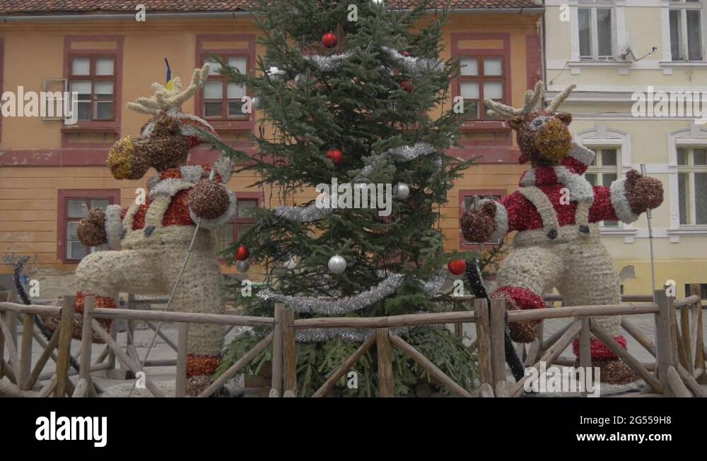 Reindeer christmas tree Stock Videos & Footage - HD and 4K Video Clips ...