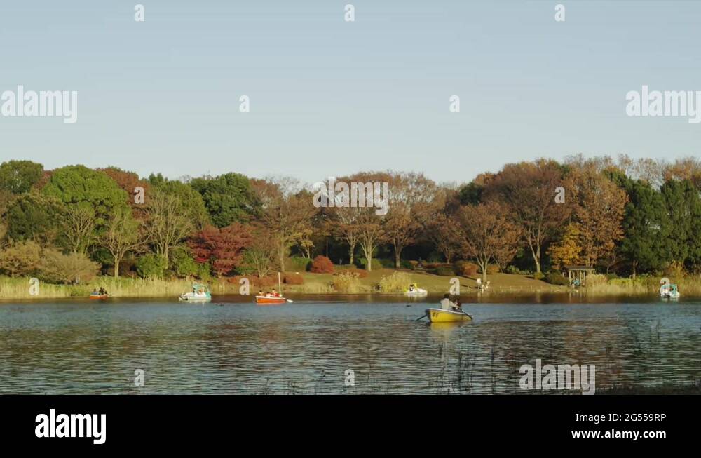 Showa memorial park Stock Videos & Footage - HD and 4K Video Clips - Alamy