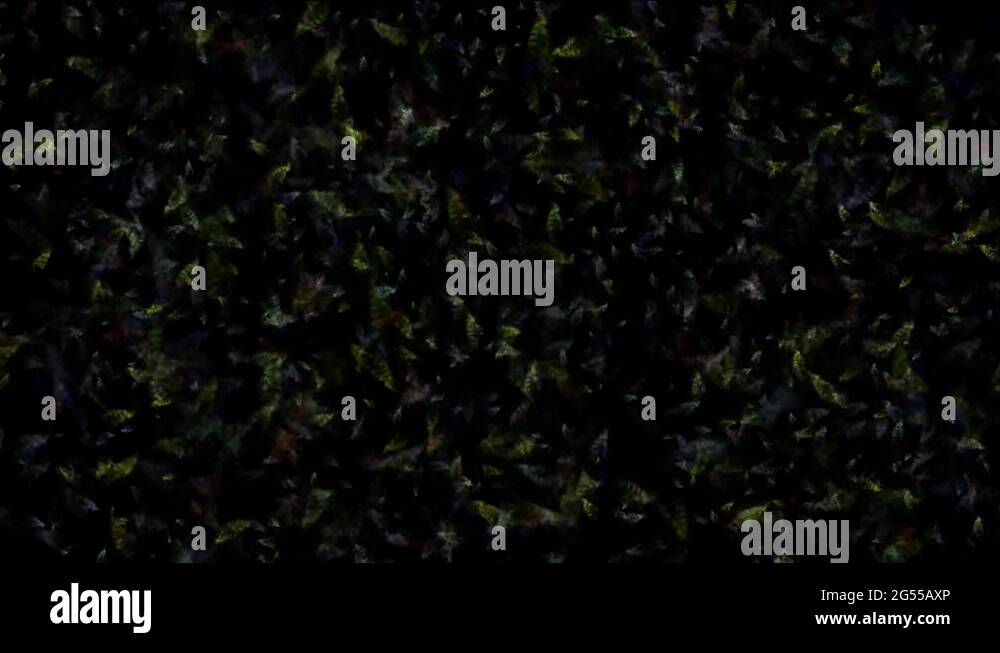 Plankton swimming transparent cells tiny microbes particle Stock Video ...