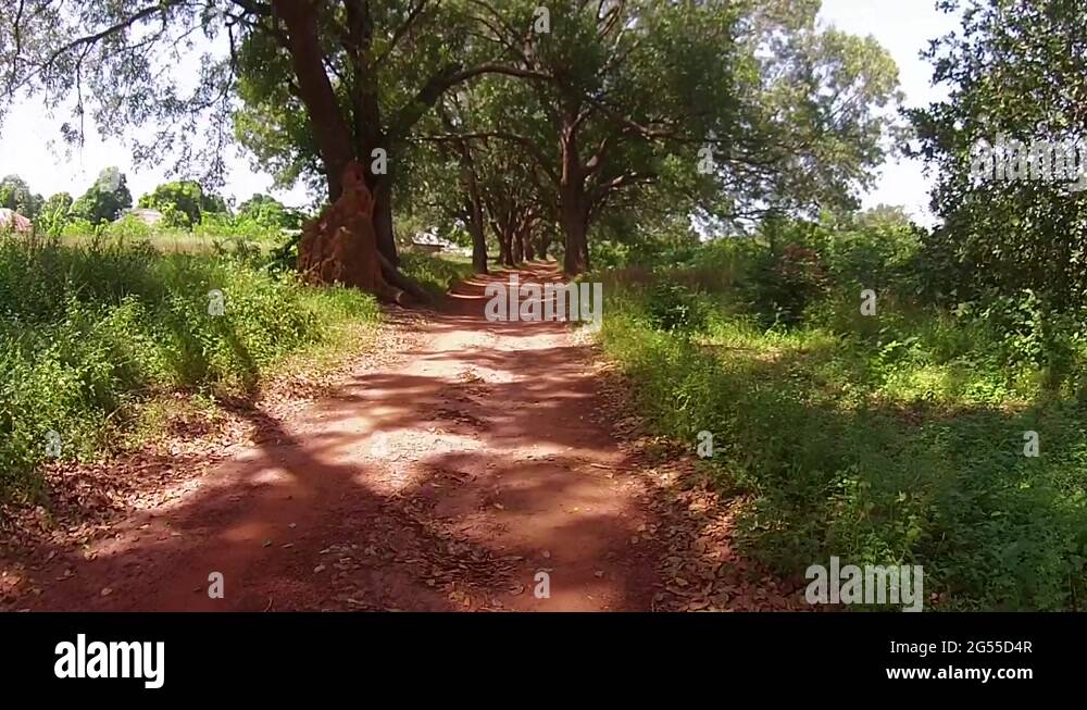 Africa jungle path Stock Videos & Footage - HD and 4K Video Clips - Alamy