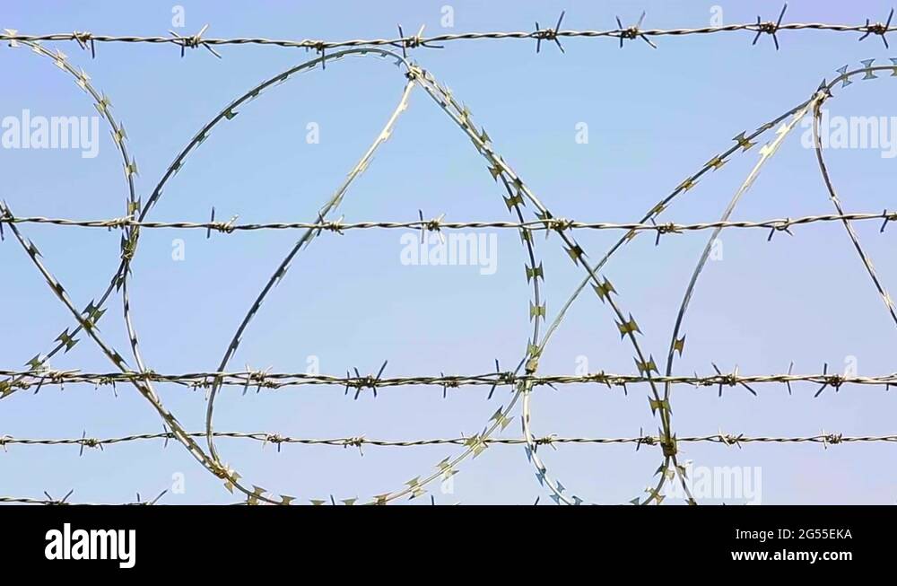 Razor grass Stock Videos & Footage - HD and 4K Video Clips - Alamy