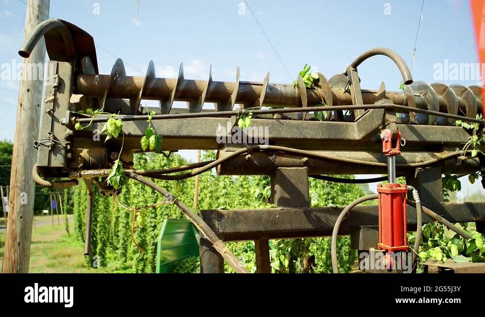 Hop harvester Stock Video Footage - Alamy