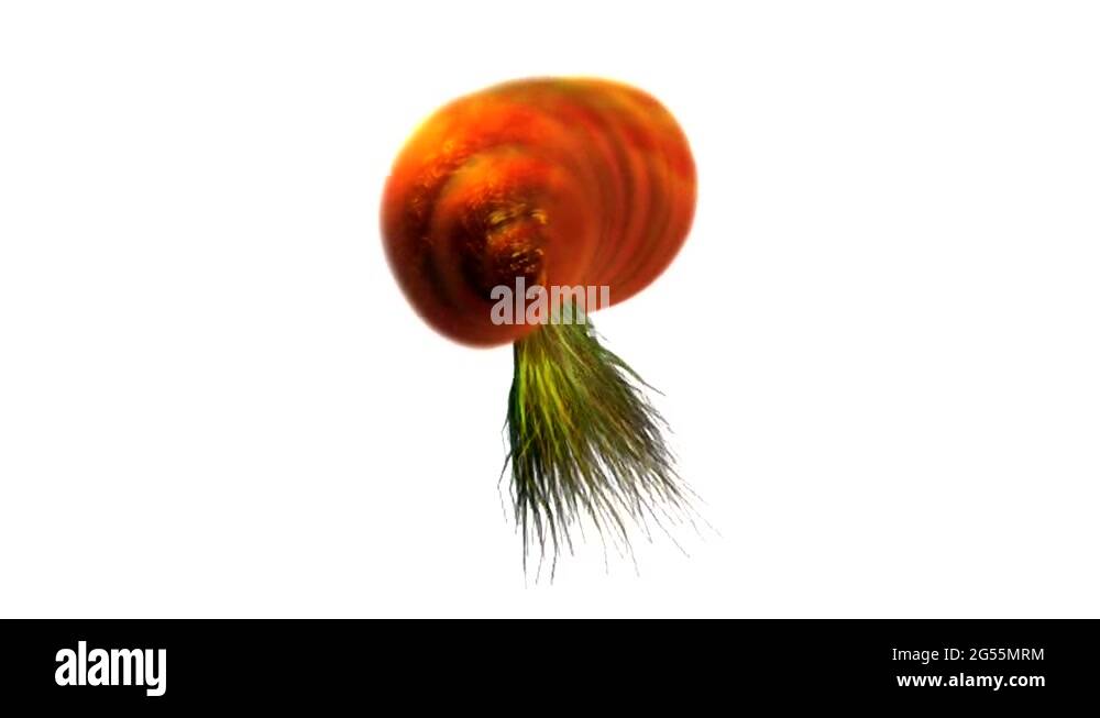 Germs or Bacteria under the microscope Stock Video Footage - Alamy